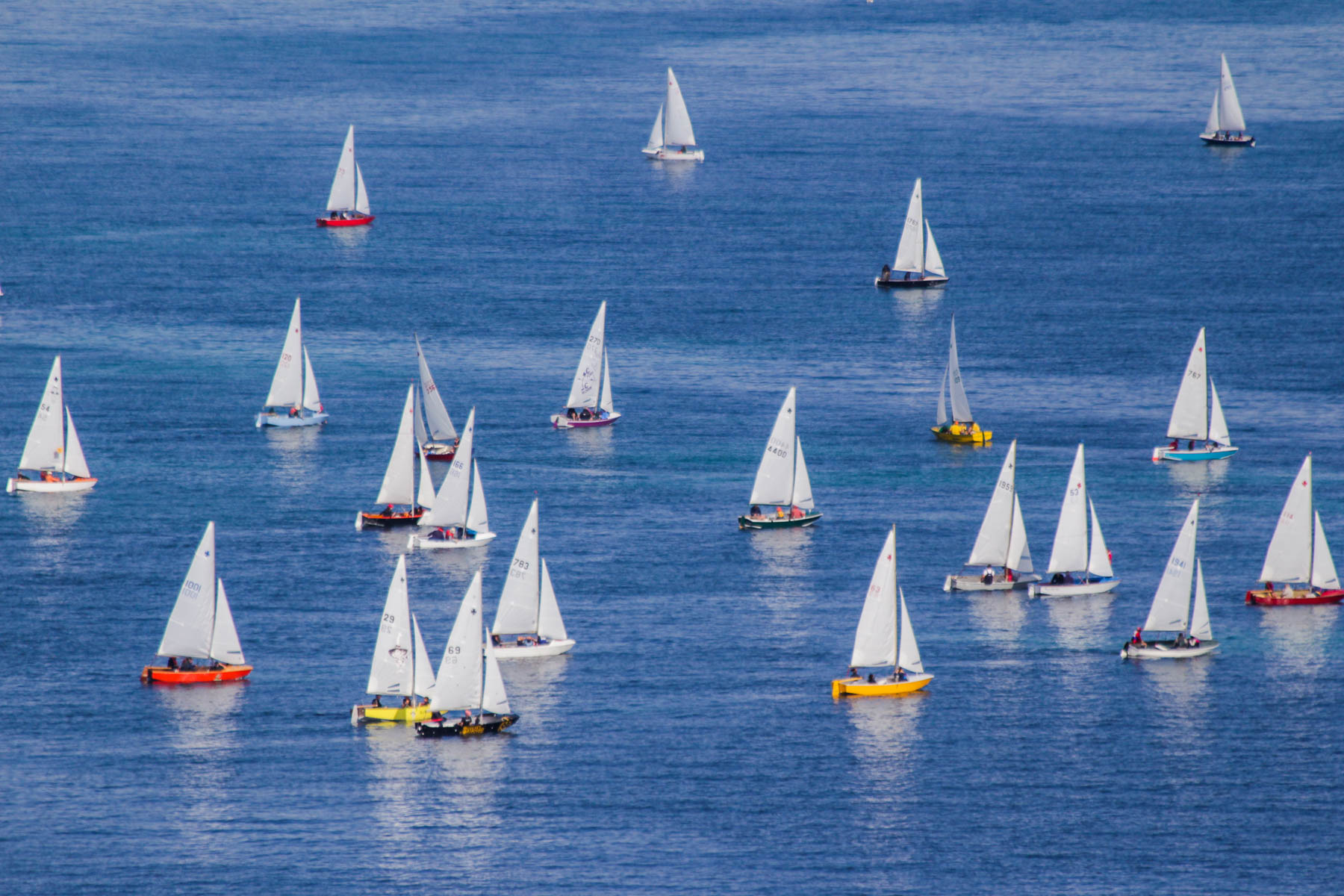 Voile
